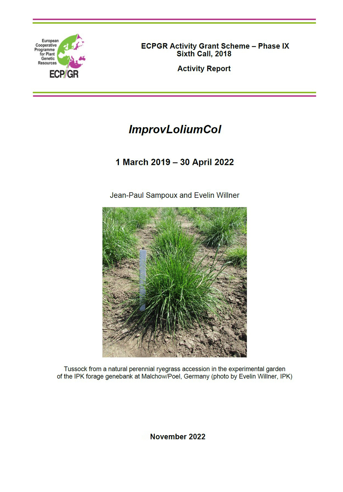 ECPGR: ImprovLoliumCol - Activity Report